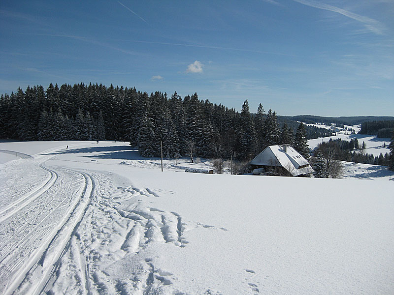 Langlauf in Schonach - joachimott journal